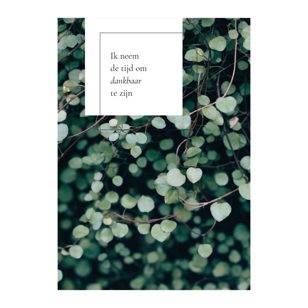 Note To Self: Kaart A6 - Ik neem de tijd om dankbaar te zijn - Essencio