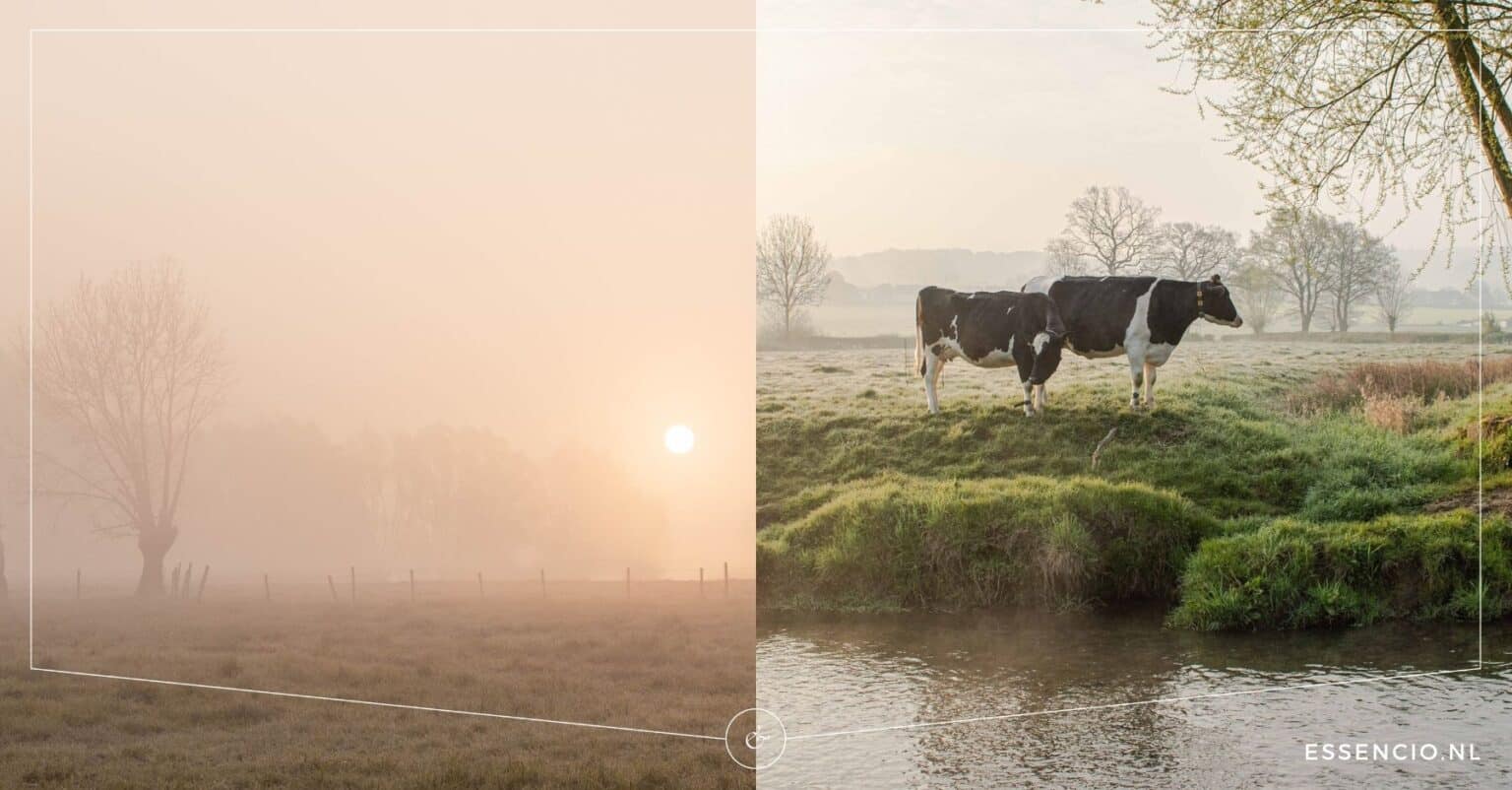 Bewust genieten: Limburg - Essencio
