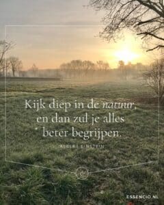 Blog: 15x de mooiste quotes, citaten en spreuken over de natuur