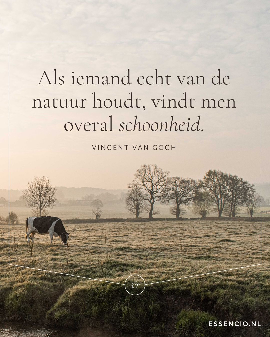 Blog: 15x de mooiste quotes, citaten en spreuken over de natuur