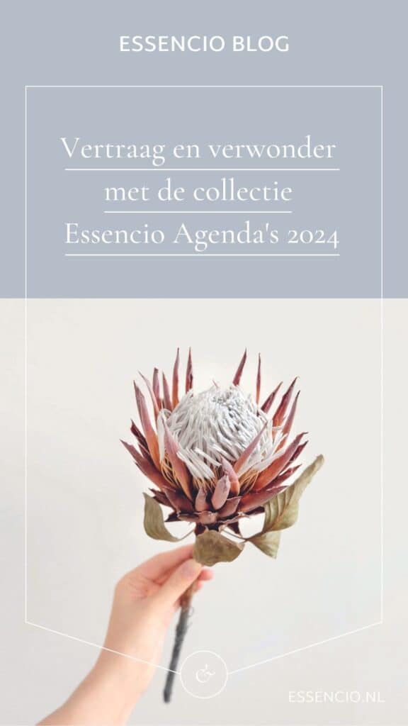 Vertraag en verwonder - ontdek het thema van de Essencio Agenda's 2024