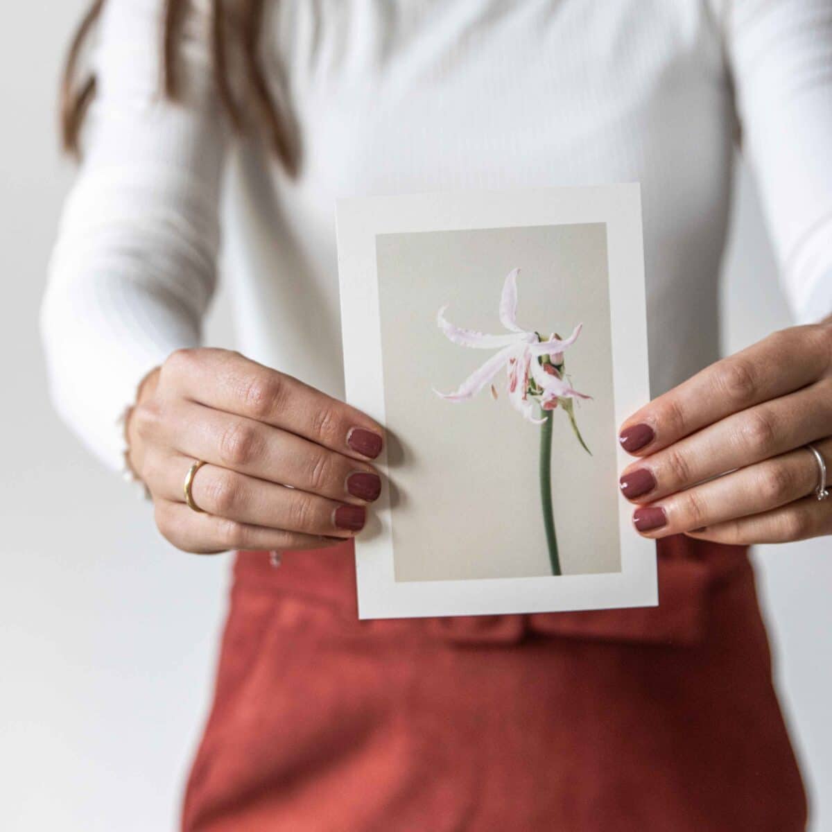 Essencio - Kaart A6 - Nerine - Vertraag en verwonder