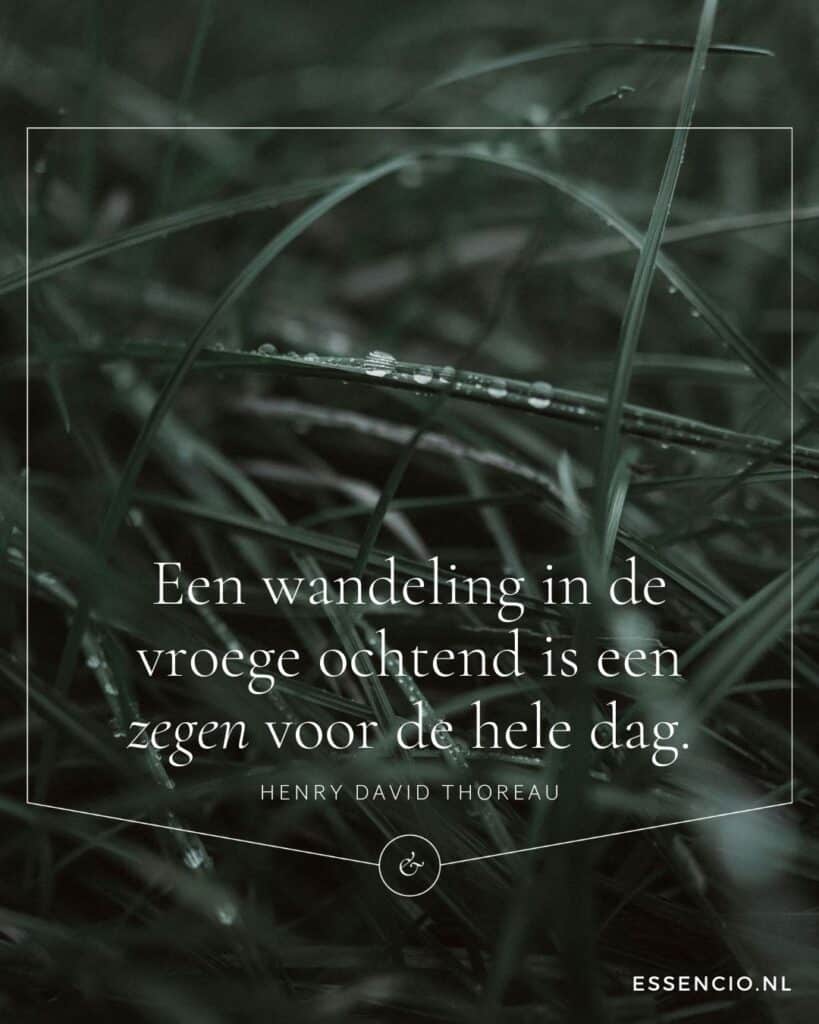 Wandelwijsheid: 12 quotes die je motiveren om te wandelen